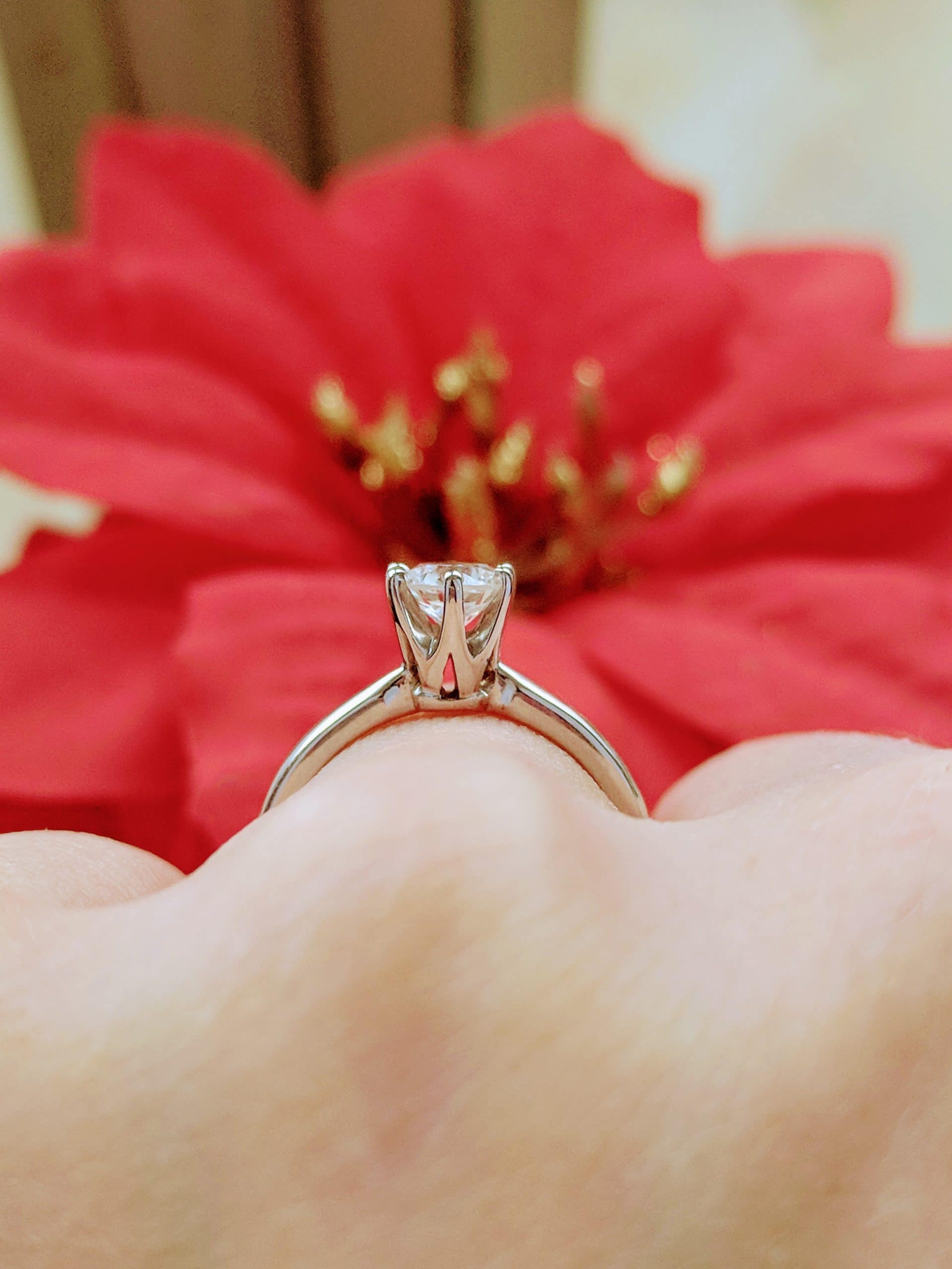 How to Present a Diamond Gift – Clarity Enhanced Diamonds | Discovery ...